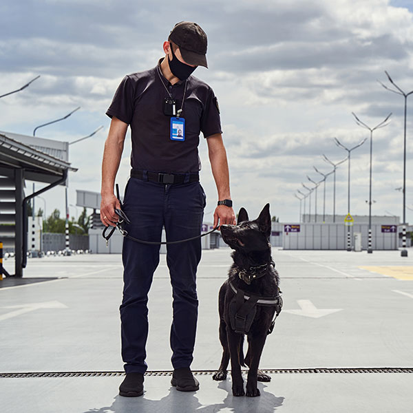 Dog Patrols | K9 Security | CSG